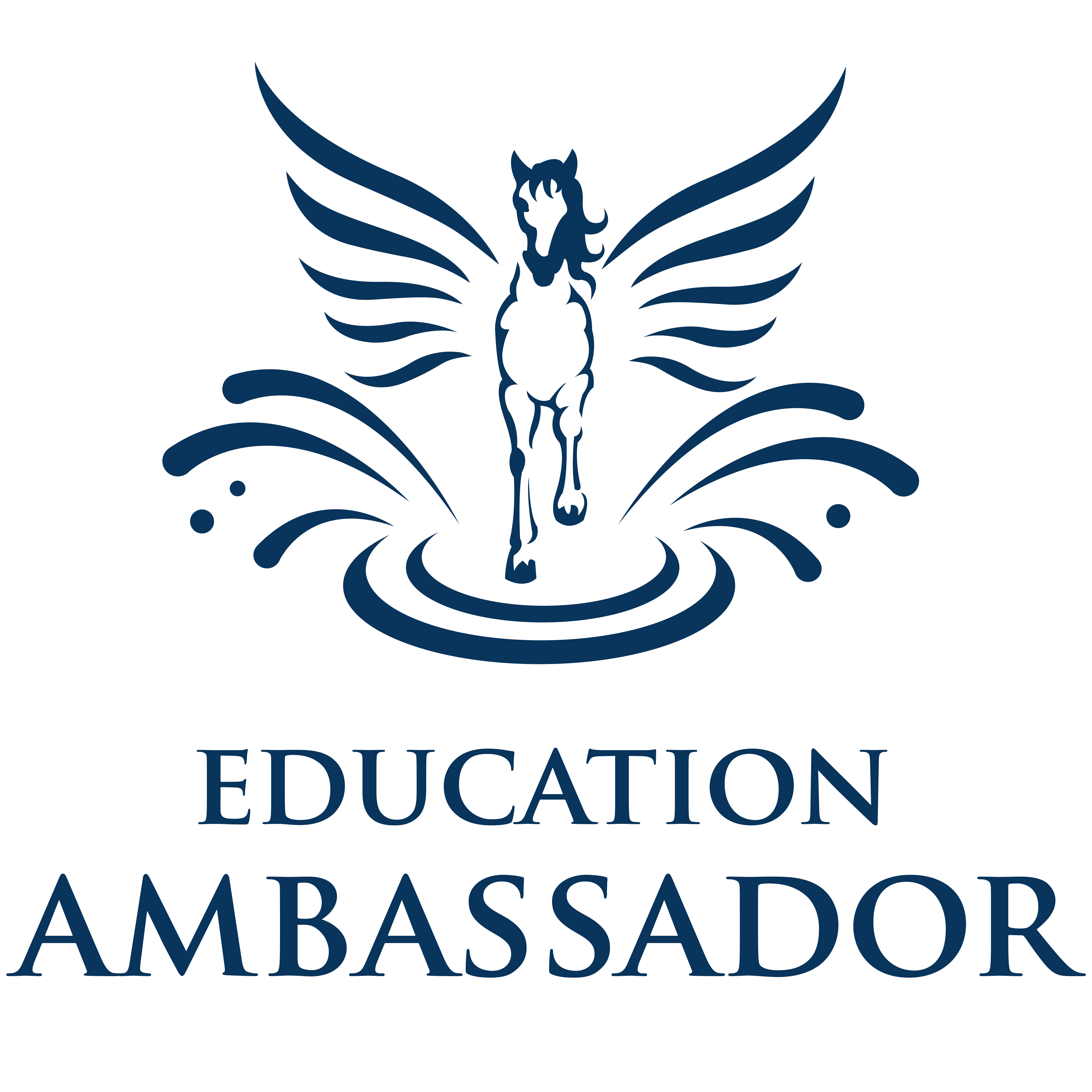 Education Ambassador Award - Pegasus Springs